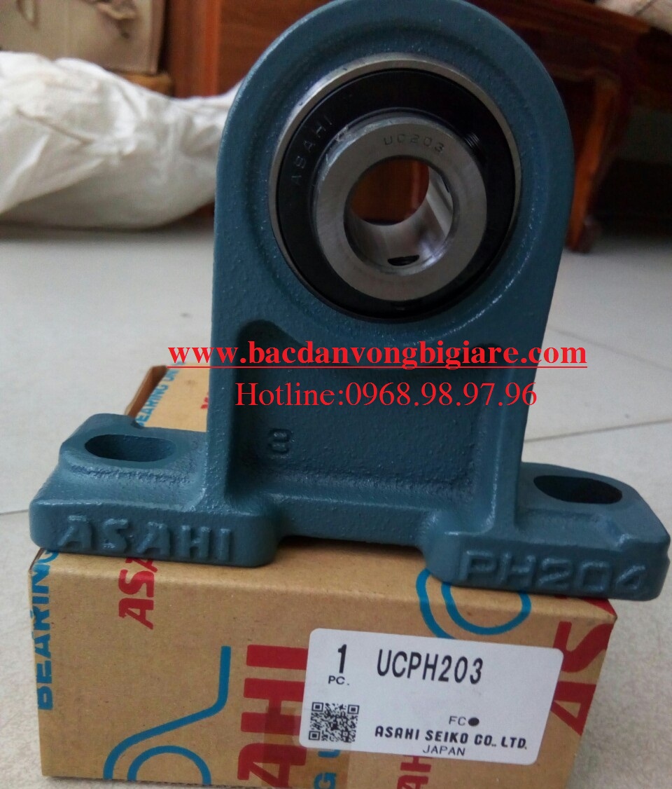 GỐI ĐỠ UCPH204 ASAHI - Hotline: 0968.98.97.96